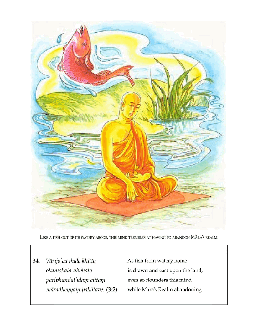 Illustrated Dhammapada