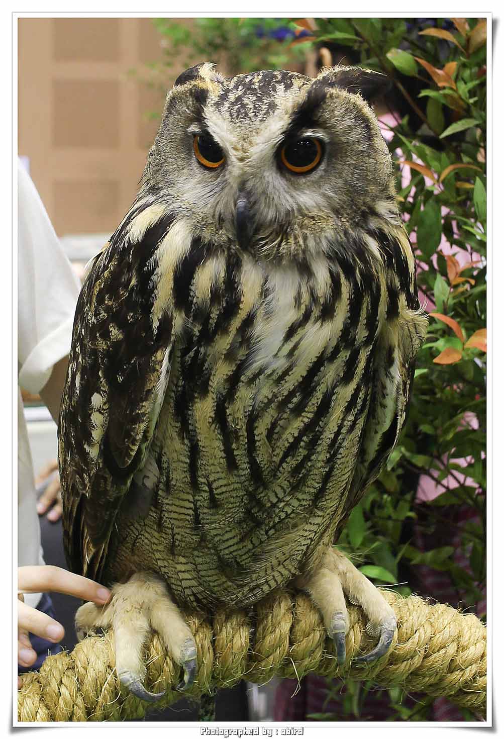 Bloggang.com : ถปรร