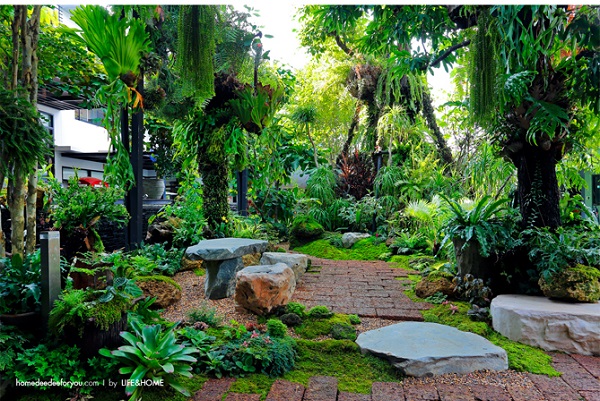 73.งาน Landscape และตกแต่งสวน(1) : เริ่มงานสวน สปริงเกอร์ ปูหญ้า รั้วต้นไม้