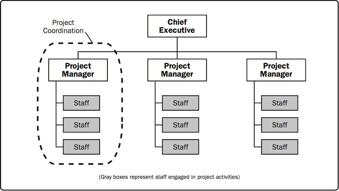 Organization Structure Functional Projectized Matrix