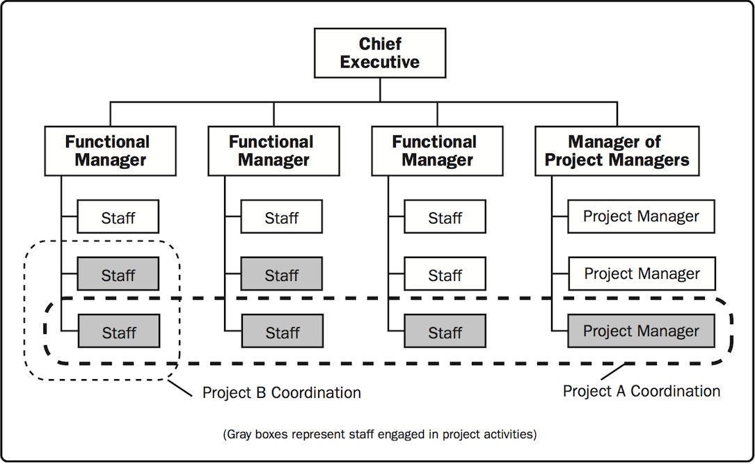โครงสร้างขององค์กร Organizational Structures