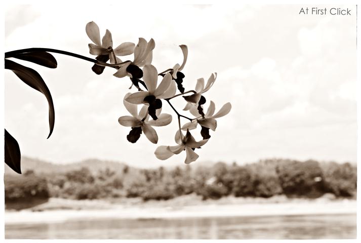 Bloggang.com : Love At First Click : เชียงคานอาถรรพ์ มัน’หยองมาก