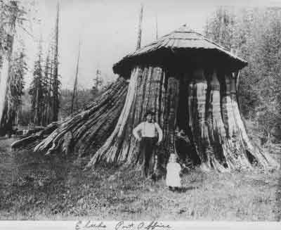 Bloggang.com : ต่อตระกูล : Cedar Stump Post Office ไปรษณีย์ตอไม้ซีดาร์