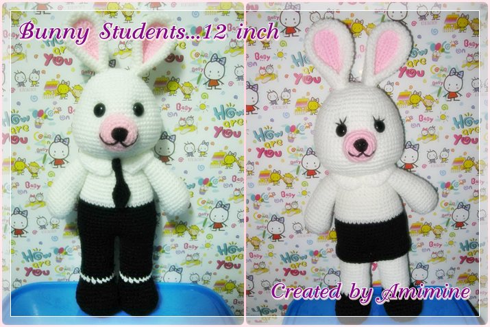 ตุ๊กตาถัก... นักศึกษาชาย-หญิง (หมี - กระต่าย - หมูกระต่าย)