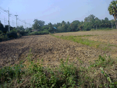 เตรียมดินเหนียวธรรมชาติเพื่อการทำเซรามิกส์