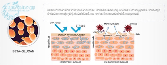 [Review] Dermalis Derma Booster Mask มาส์คหน้าเพื่อผิวขาวกระจ่างใสเพียง ...