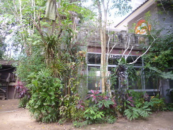 Shonin Room