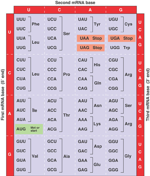 Bloggang.com : TiNee_SaEnG : ตามรอย DNA (ต่อ)
