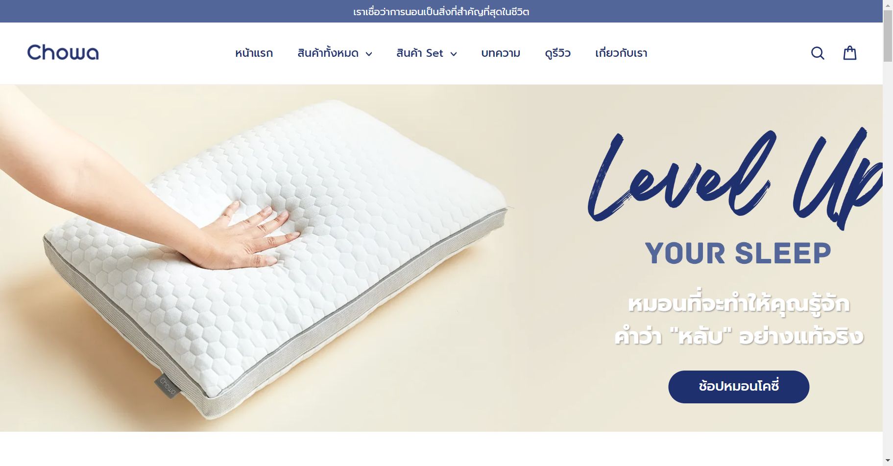 BlogGang.com : : สมาชิกหมายเลข 5638549 : หมอนโคซี่Chowaช่วยปรับการนอน ...