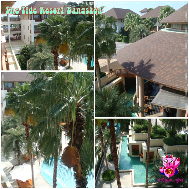 The Tide Resort : Bangsaen