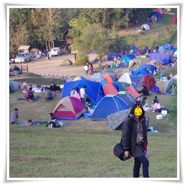 Bloggang.com : ชิคาปู้ : @ ดอยเสมอดาว-ภูชี้ฟ้า-ดอนอินทนนท์ ธันวาคม ปี 2552