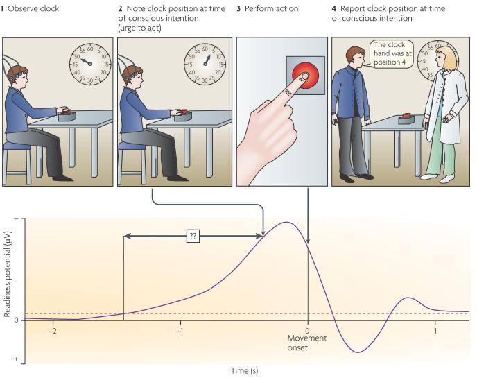 Neuroscience of free will: ฤาเจตจำนงเสรีไม่มีอยู่จริง