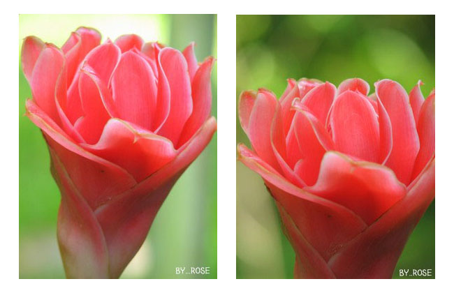 Bloggang.com : chava : วันหยุด สุขใจที่ไร่อรุณวิทย์ จ.สระบุรี