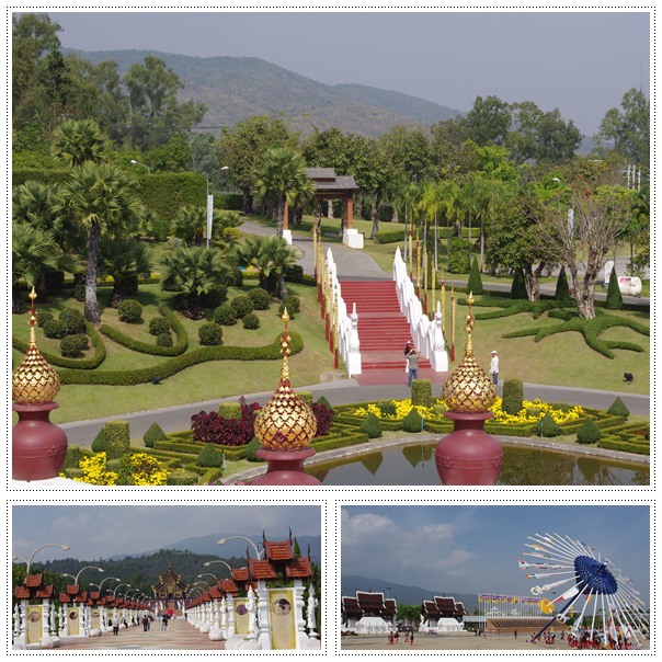 Bloggang.com : ชิคาปู้ : @ ดอยเสมอดาว-ภูชี้ฟ้า-ดอนอินทนนท์ ธันวาคม ปี 2552