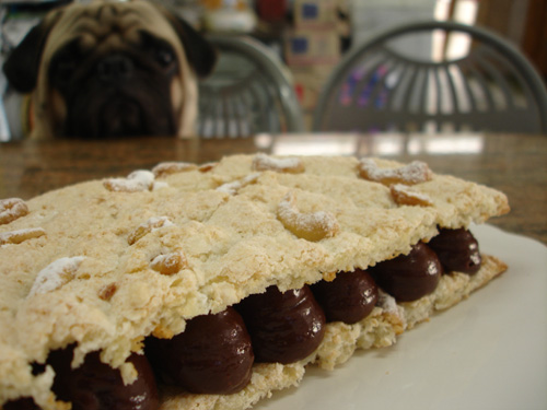 Pug, the dessert QC ★ ไอปั๊กยอดหมาคิวซี★★★★