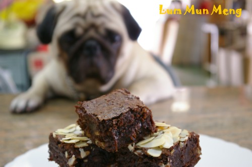 Pug, the dessert QC ★ ไอปั๊กยอดหมาคิวซี★★★★