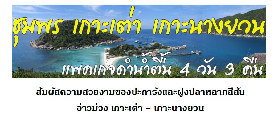 THP-008 แพคเกจเกาะเต่า เกาะนางยวน 4 วัน 3 คืน ราคา 4,700.-