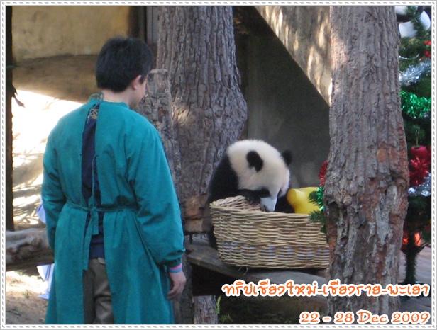 ทริปเยี่ยมญาติ เชียงใหม่-เชียงราย-พะเยา....ตอนที่ 1