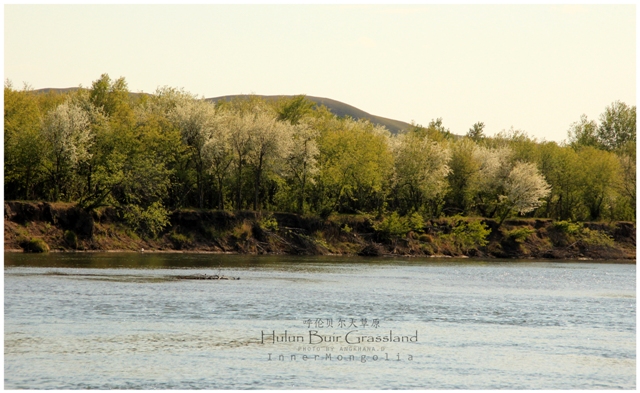 Harbin --> Hailar 【呼伦贝尔】Inner Mongolia