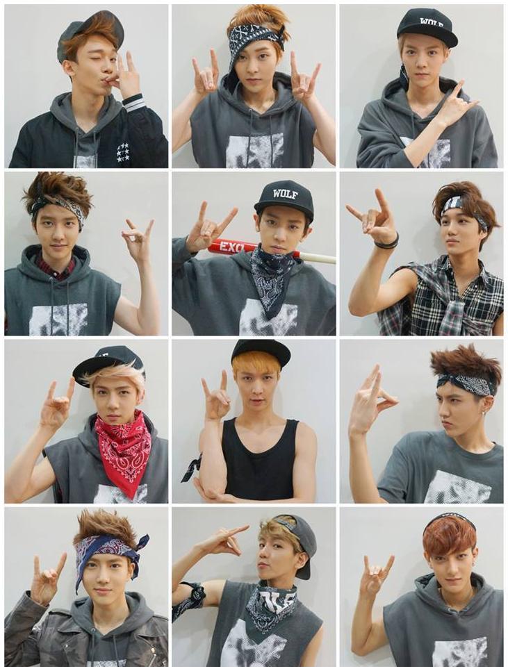 EXO (엑소) - Wolf (늑대와 미녀) (Korean version)