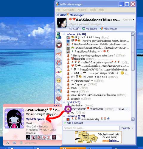 วิธีทำสเปรซ Window Live Spaces ของMSN