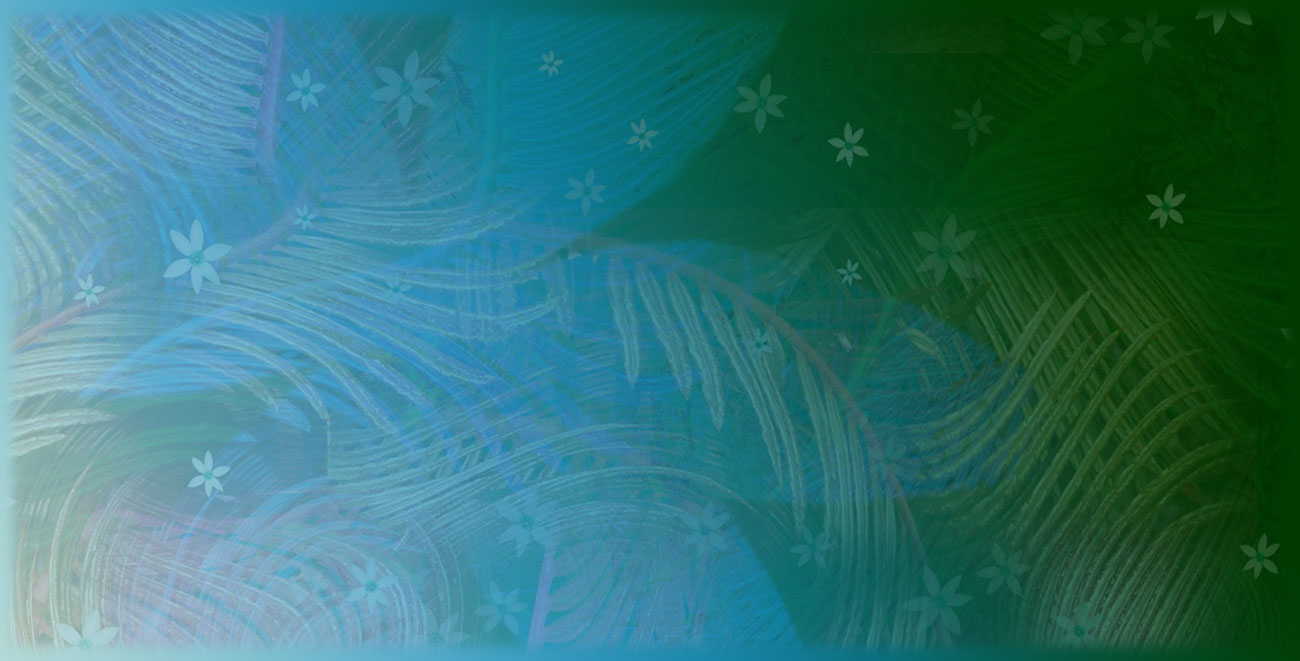 ###BG(พื้นหลัง)ชุดที่ 17 ทำเอง...ใช้เอง