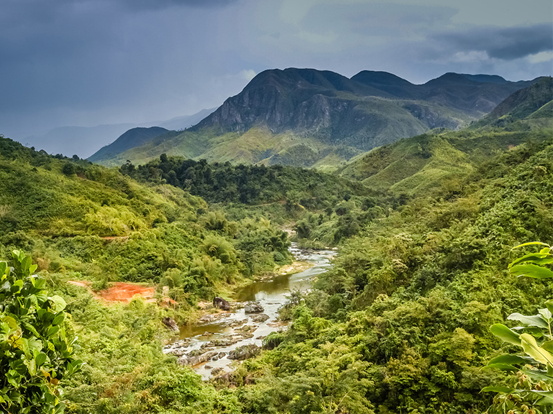 ก่อนจะเป็นมาดากัสก้าร์