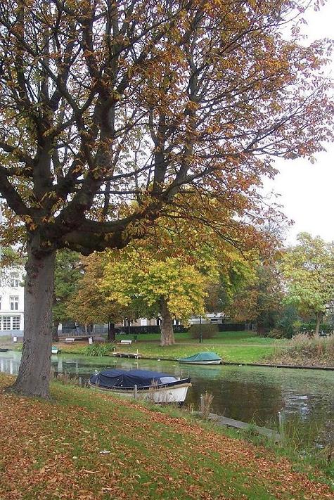 Autumn in Leiden