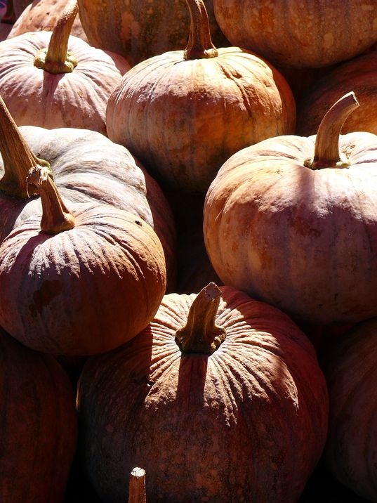 BlogGang.com : : jetsada.999 : ......ไปหาหนาว ที่แม่สอด (1)......