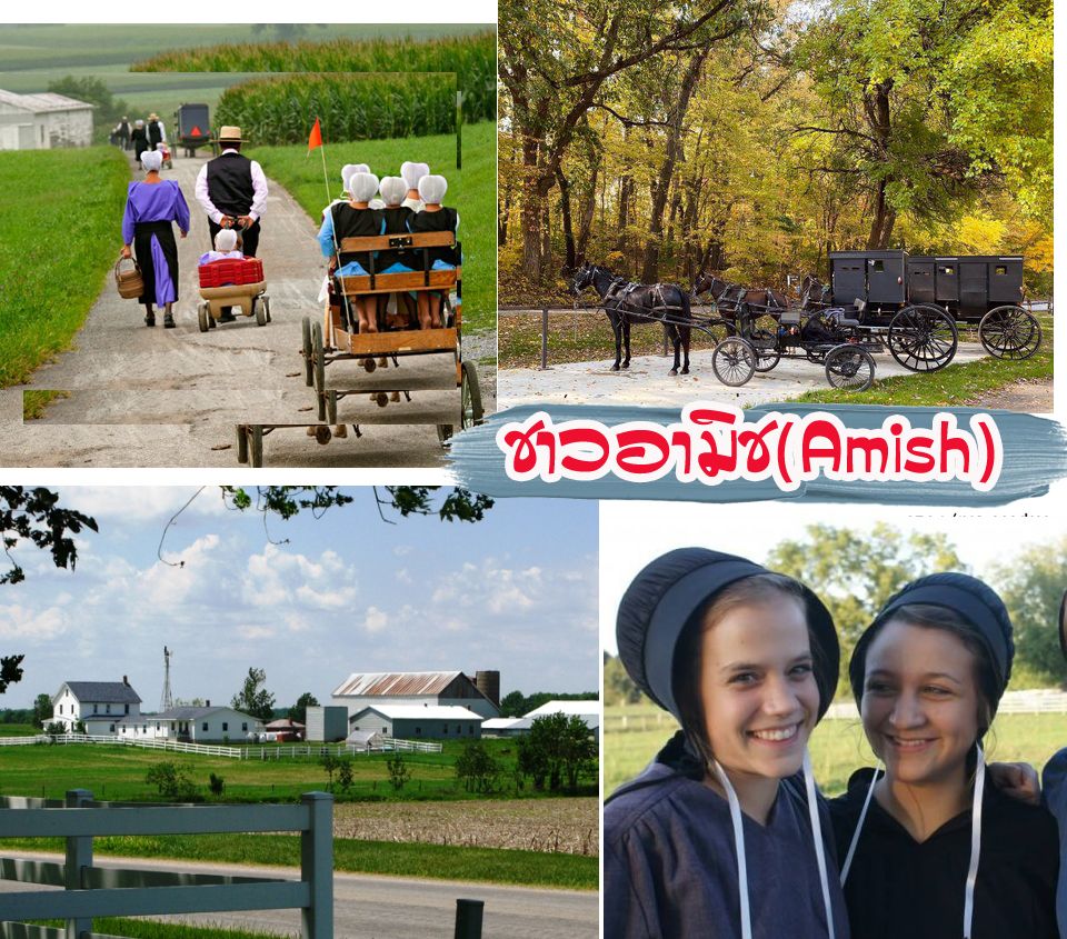 เที่ยวชุมชน Amish (อามิช) รัฐอินเดียน่า สหรัฐอเมริกา