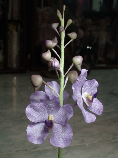 Vanda_Clay Flower (แวนด้าฟ้ามุ่ยยยยย ..ดอกไม้ดินไทย)