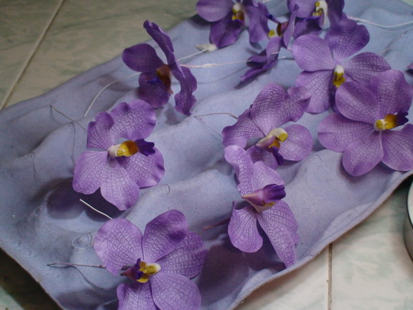 Vanda_Clay Flower (แวนด้าฟ้ามุ่ยยยยย ..ดอกไม้ดินไทย)