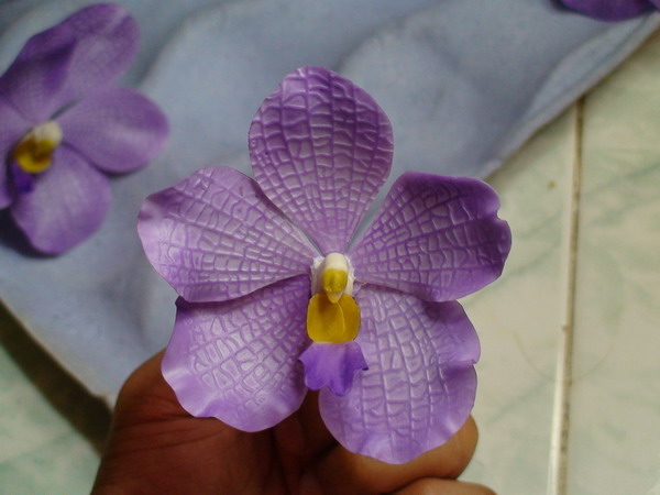 Vanda_Clay Flower (แวนด้าฟ้ามุ่ยยยยย ..ดอกไม้ดินไทย)
