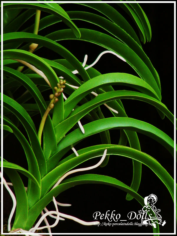 Vanda Clay Orchid ดอกไม้ดินไทย - ดินญี่ปุ่น