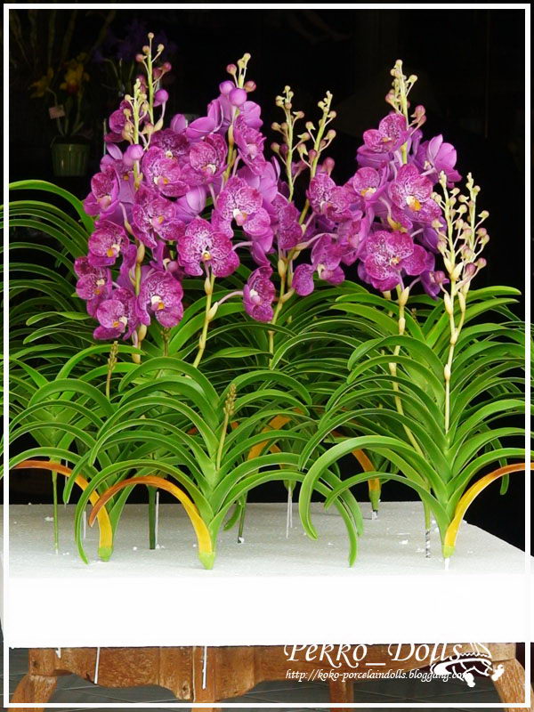Vanda Clay Orchid ดอกไม้ดินไทย - ดินญี่ปุ่น