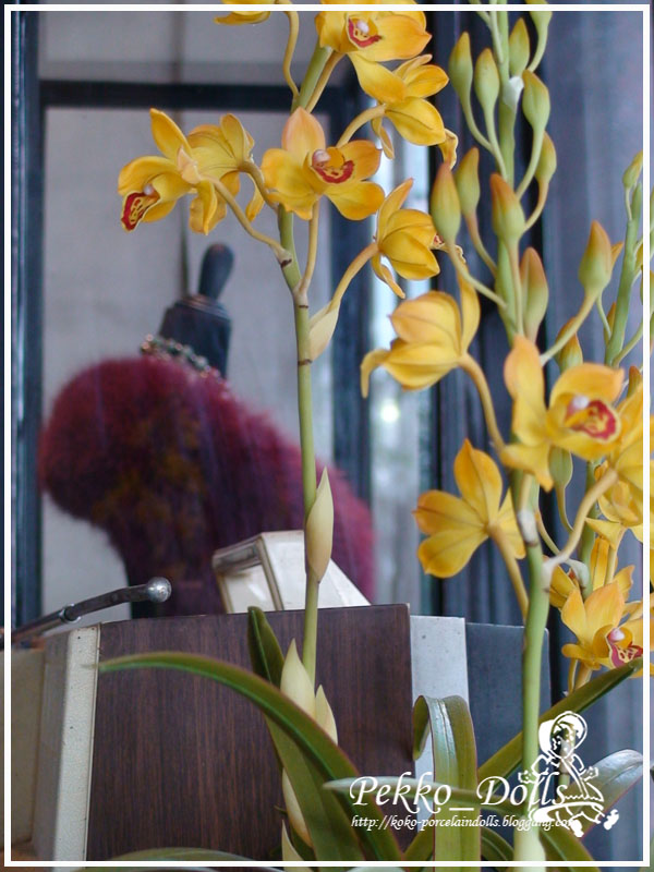 Bloggang.com : Pekko_Dolls