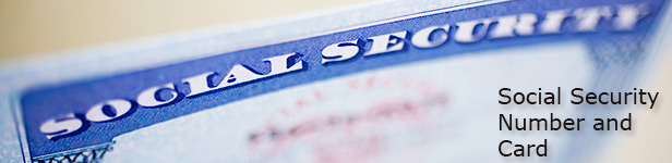 ประสบการณ์ ขอ SSN (Social Security Number)