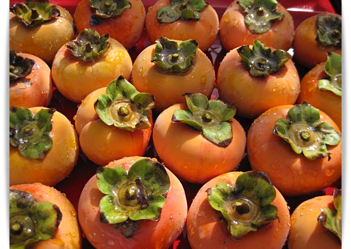 Temperate Fruit Online: Fruit