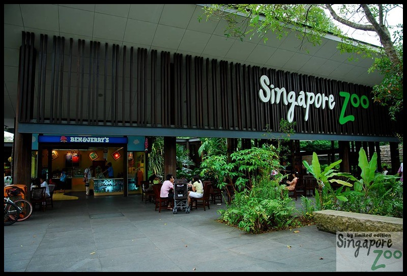 ไป Singapore zoo ดูสัตว์ แล้วนั่งเรือลัดไป Bintan Indonesia