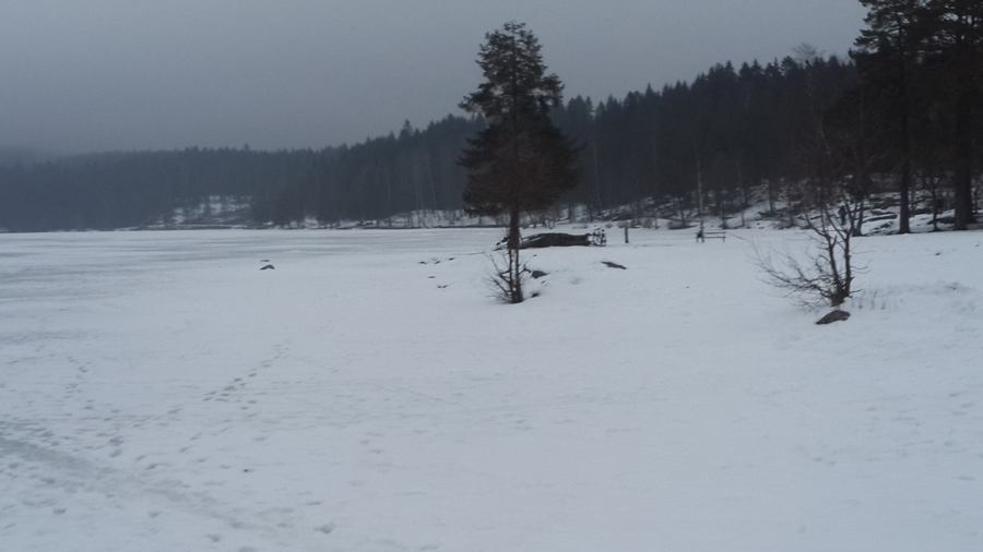 SONGSAVAN LAKE -2017