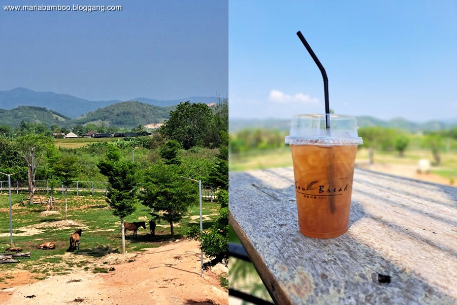 Nava Land Family Trip - with deepest love and condolence