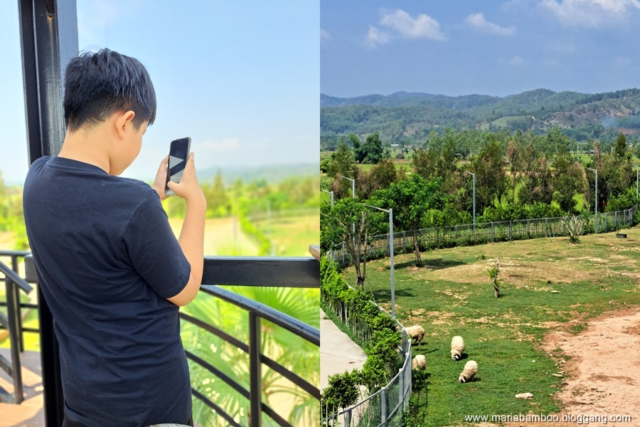 Nava Land Family Trip - with deepest love and condolence