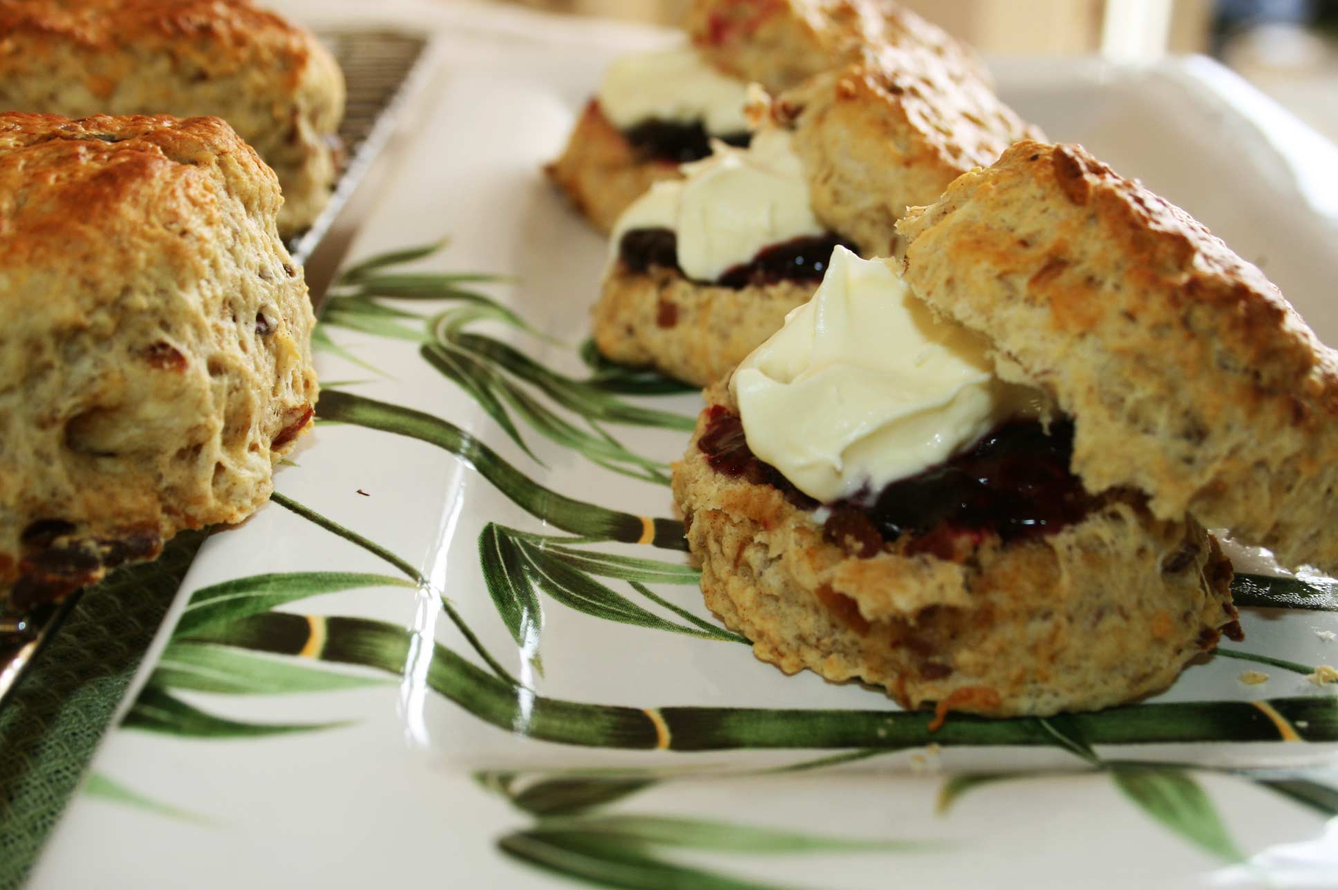 Bloggang.com : mini oven - +++Devonshire Tea (date scones และวิธีกินส ...
