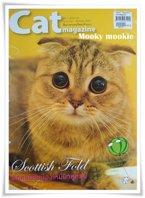 Puppy story : อยู่ดีๆ หนูก็ได้ขึ้นปก....!! Cat magazine...**