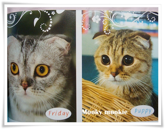 Puppy story : อยู่ดีๆ หนูก็ได้ขึ้นปก....!! Cat magazine...**