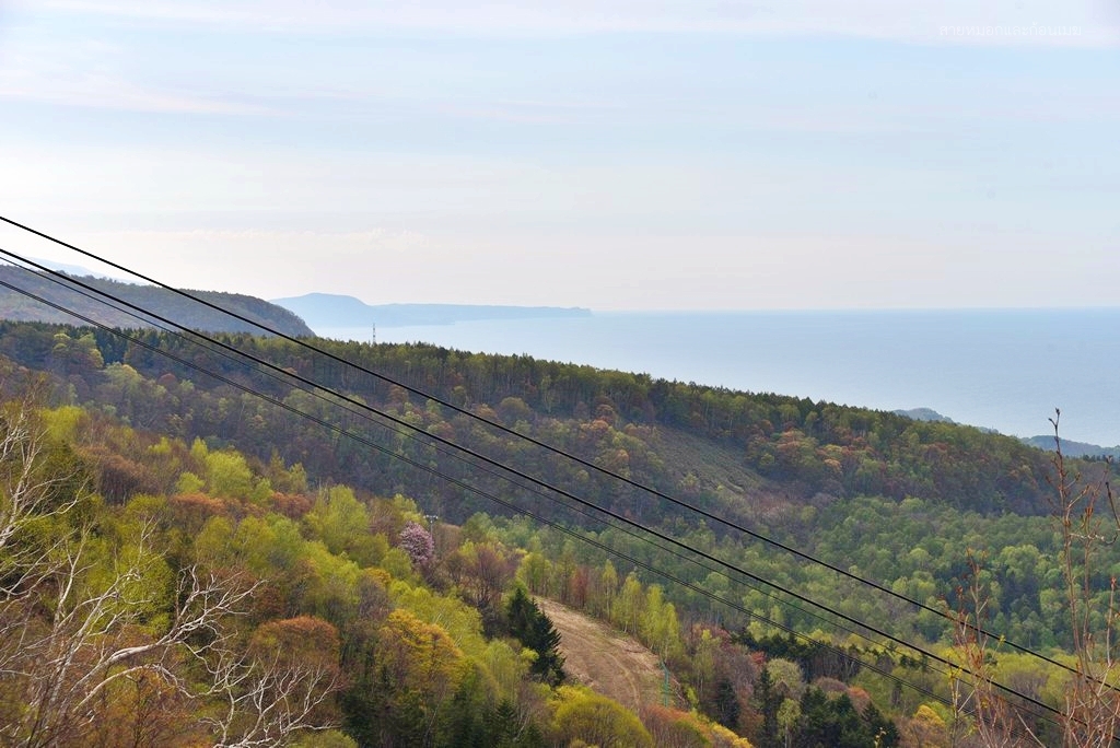 ฮอกไกโด 2023 - Otaru Tenguyama Ropeway (2)