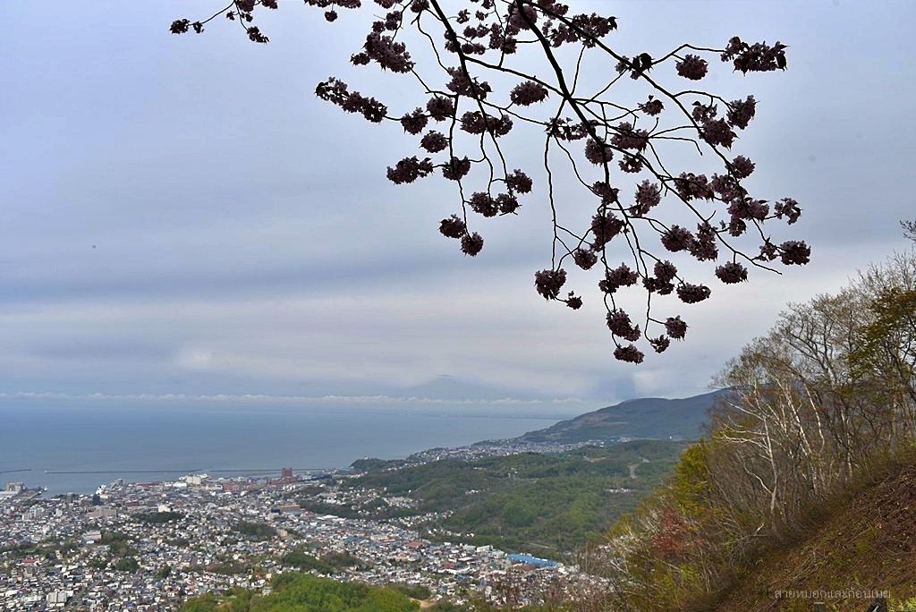 ฮอกไกโด 2023 - Otaru Tenguyama Ropeway (2)