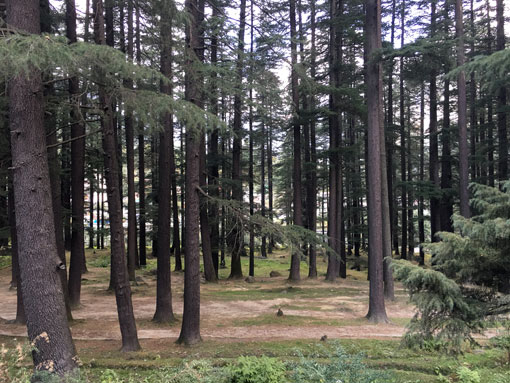 หนีลูกบุกเดี่ยวมะนาลี อินเดียตอนที่ 2 (Vashish)