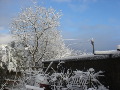 ปีใหม่นี้ตามหนูจ๋าไปดู Sunset in Aberavon Beach ต่อด้วย Snow in Cymmer