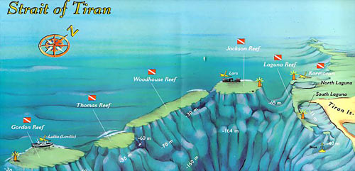 ดำน้ำทะเลแดง ตอนที่3 Straits of Tiran